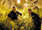 Legalization would save huge amounts of law enforcement resources as ...