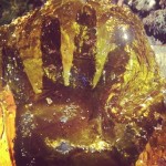 Instafire: High and Mighty Extracts White Dawg Shatter Slab - Weedist