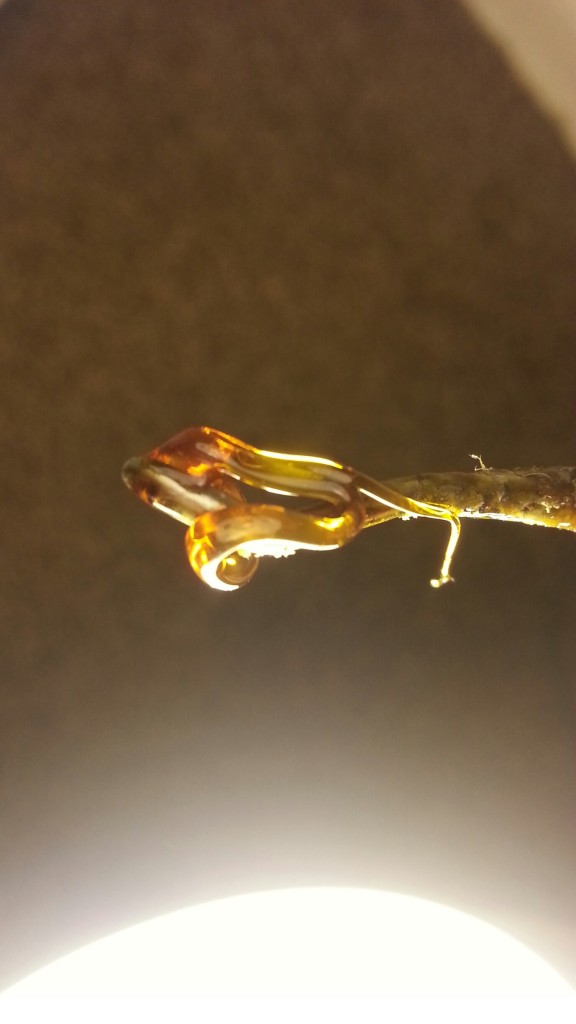 Product Review: Huxley's BHO (Dabs) - Weedist