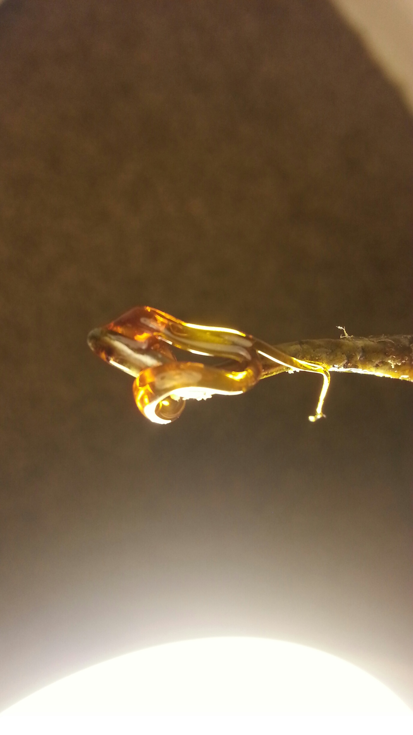 Product Review: Huxley's BHO (Dabs) - Weedist