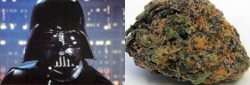 Seven Strains for the Star Wars Fan - Weedist